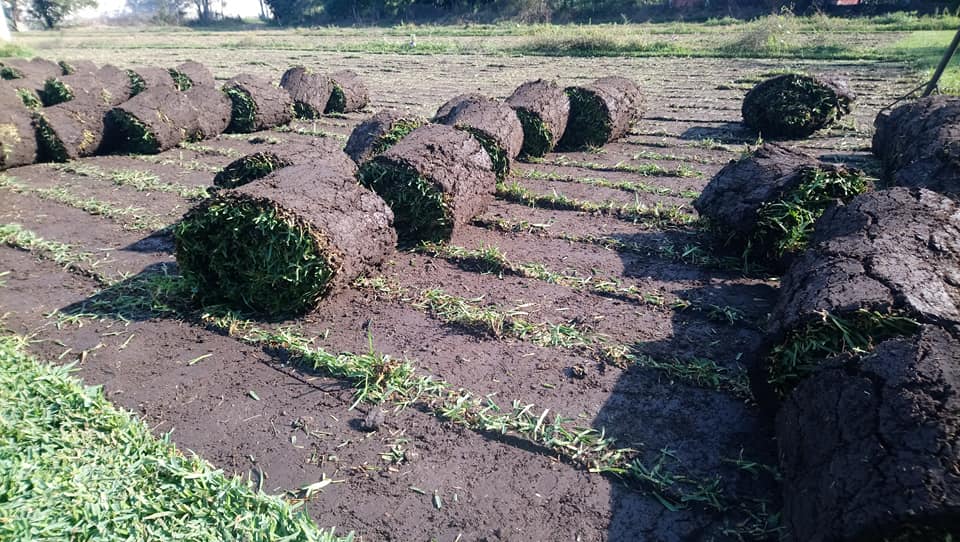 Mano a Mano - Venta de pasto en rollo natural Jonacatepec